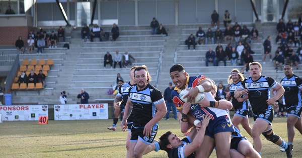 Bushies skip away from Sharks in a top-four thriller | Raiders
