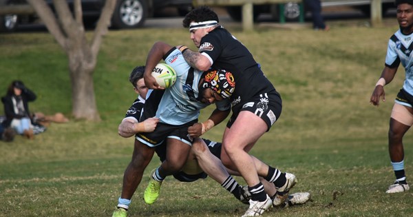 Sharks too good for Yass | Raiders